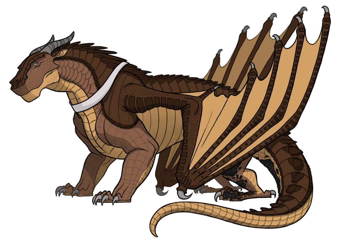 Mayfly | Wings of Fire Wiki | Fandom