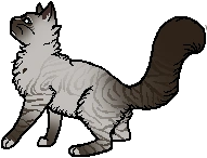 Hawkstorm | Wings of the Forest Wiki | Fandom