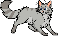 Talonpaw | Wings of the Forest Wiki | Fandom