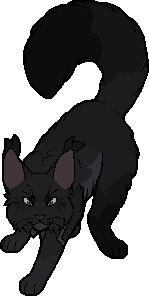 Stonewing | Wings of the Forest Wiki | Fandom