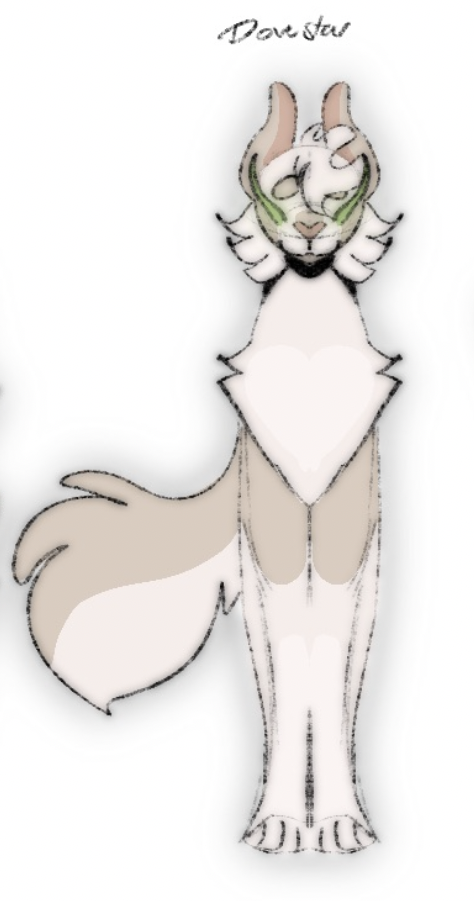 Dovestar Wings Of The Forest Wiki Fandom