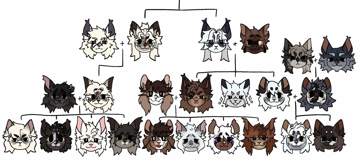 Cloudkit | Wings of the Forest Wiki | Fandom