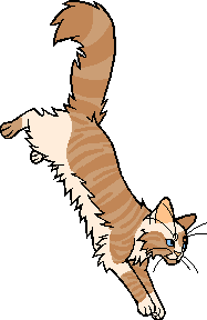 Lightwing | Wings of the Forest Wiki | Fandom