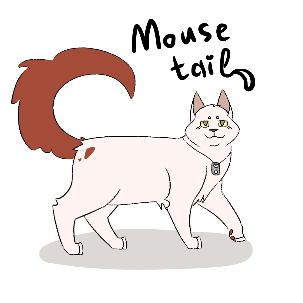 MouseTail | Wings of the Forest Wiki | Fandom