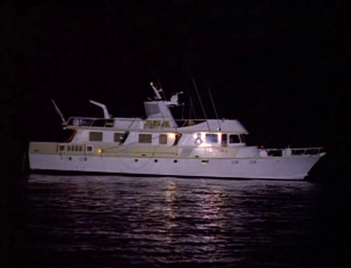 Princess Casey | Wings | Fandom