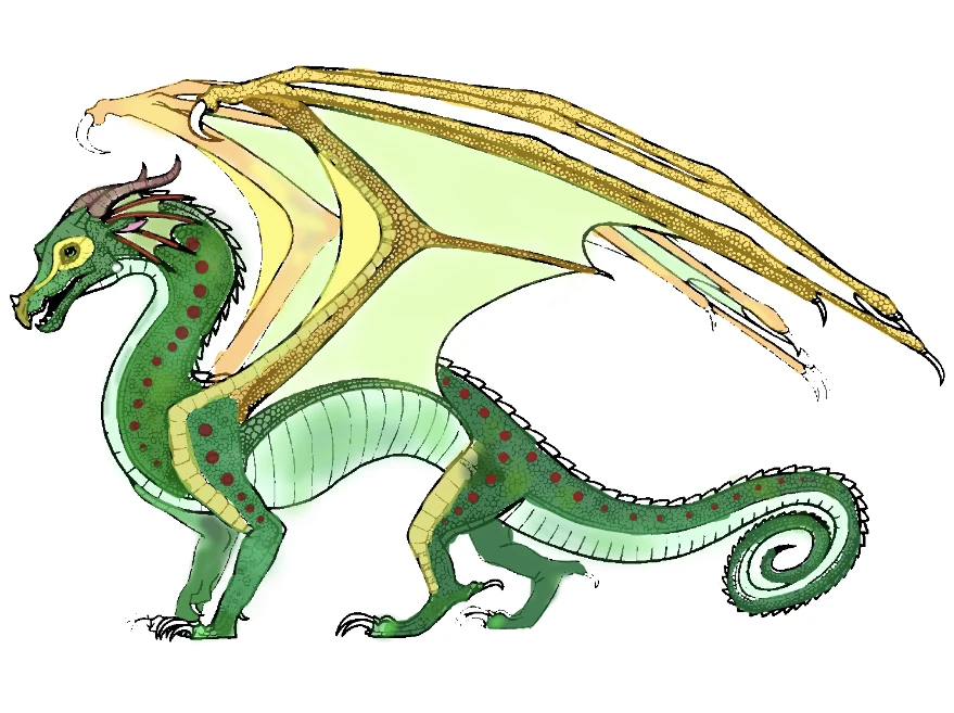Macaw | Wings of Fire OC dragons Wiki | Fandom