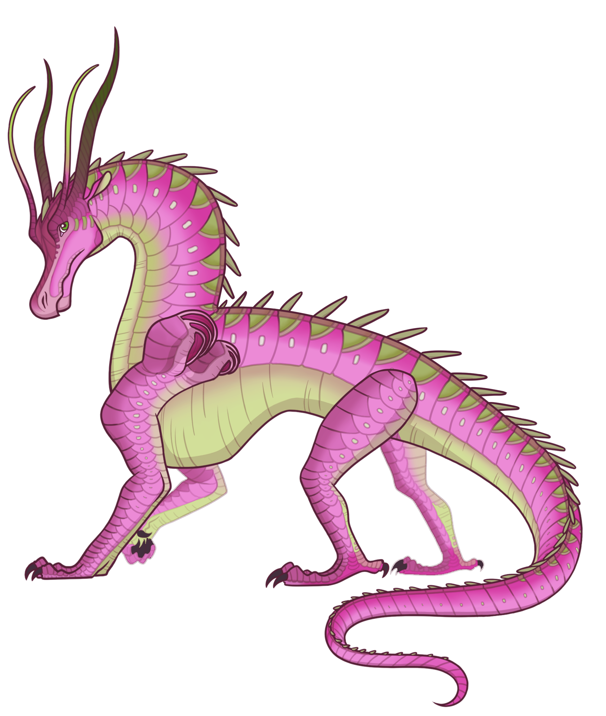 Discuss Everything About Wings of Fire Wiki | Fandom