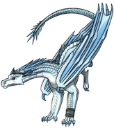 Winter | Wings of Fire Wiki | Fandom