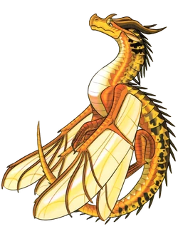 Diagram Of Cricket Wings