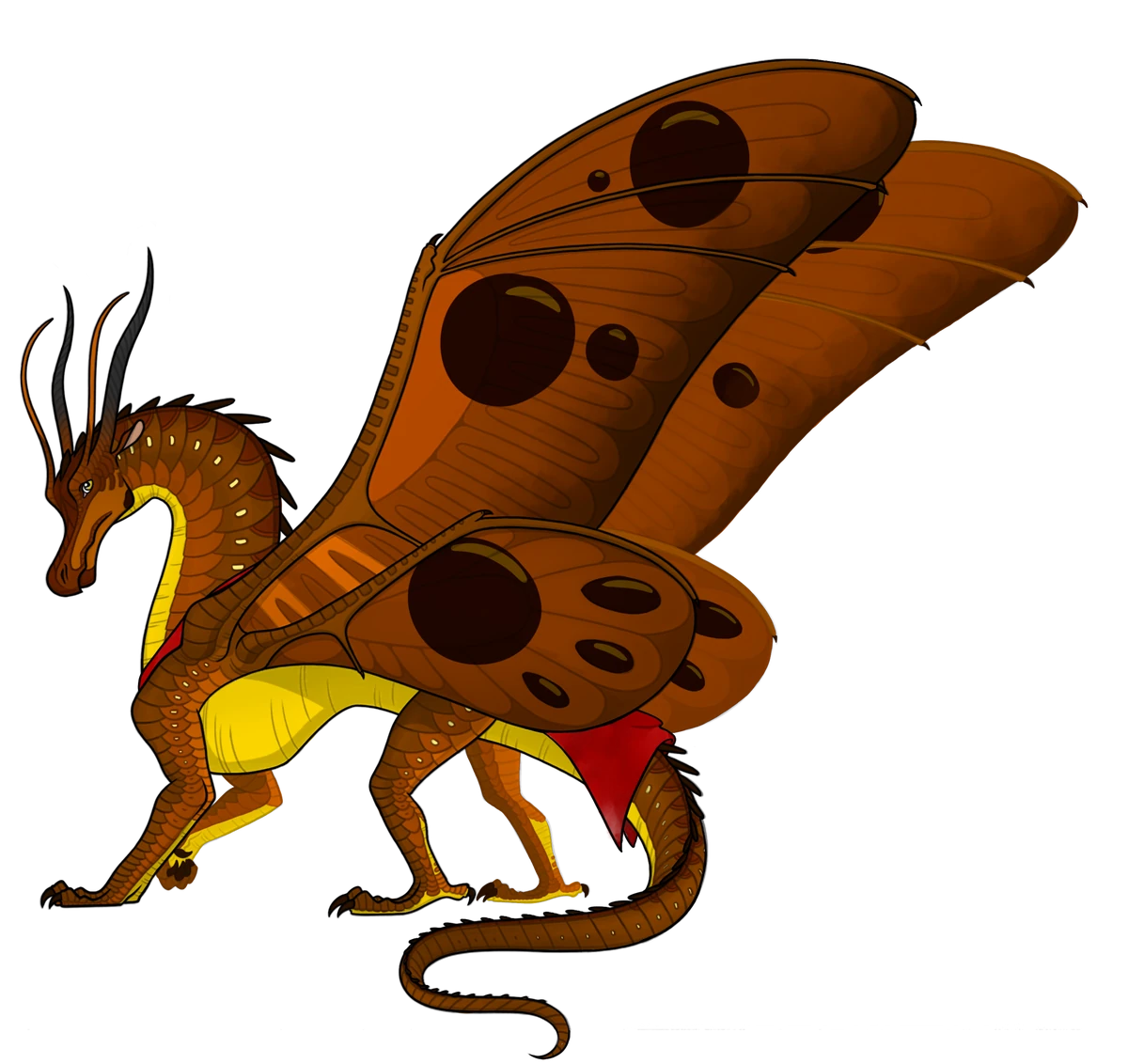 User blog:ShriketheIceWing-SkyWing/OCs | Wings of Fire Wiki | Fandom