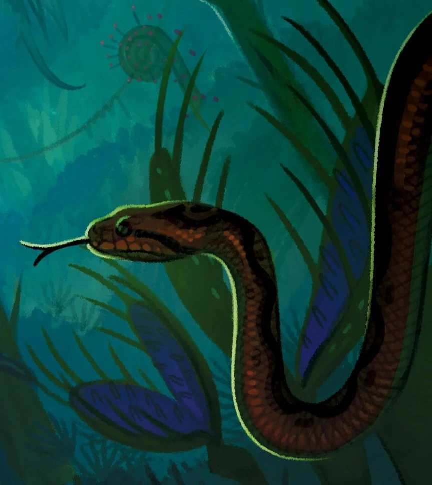 Dragonbite viper | Wings of Fire Wiki | Fandom