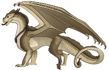 Onyx | Wings of Fire Wiki | Fandom