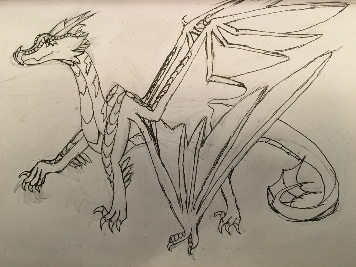 User blog:Skyla the Skywing/WindWings | Wings of Fire Wiki | Fandom