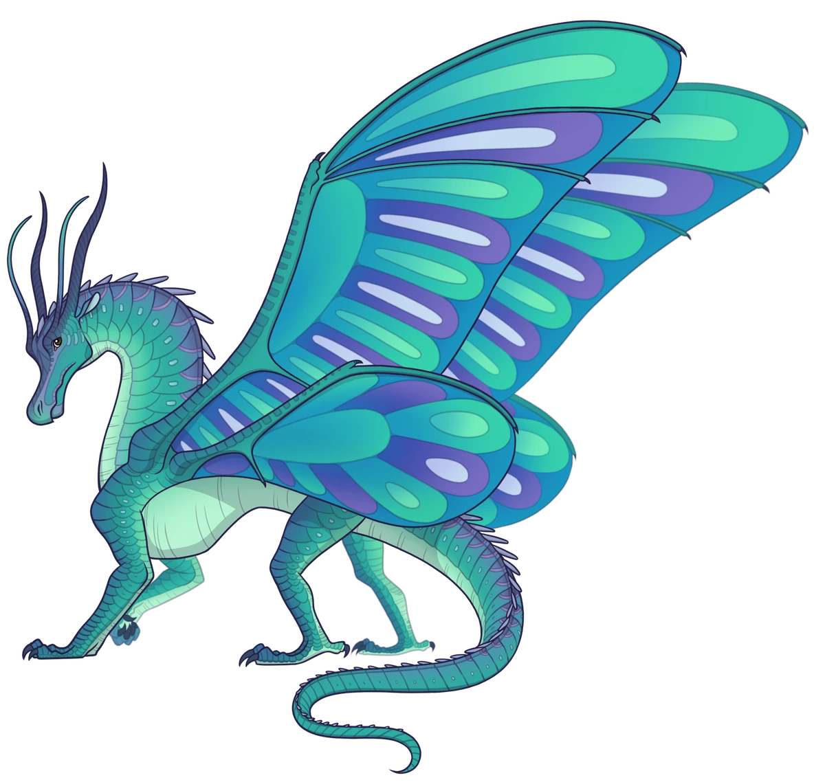 Admiral | Wings of Fire Wiki | Fandom