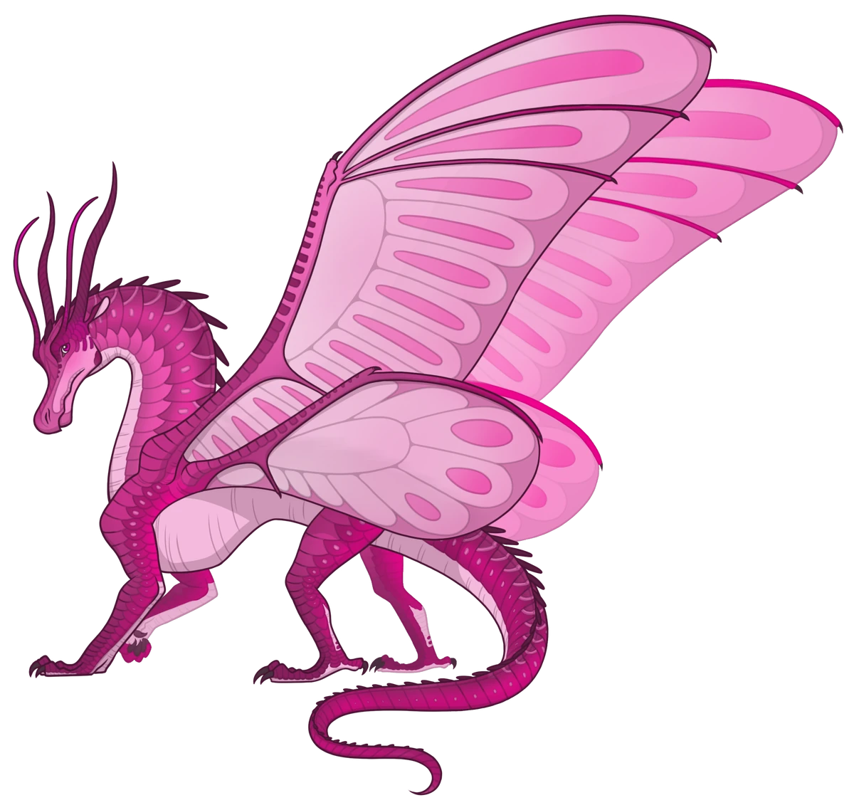 Pierid | Wings of Fire Wiki | Fandom