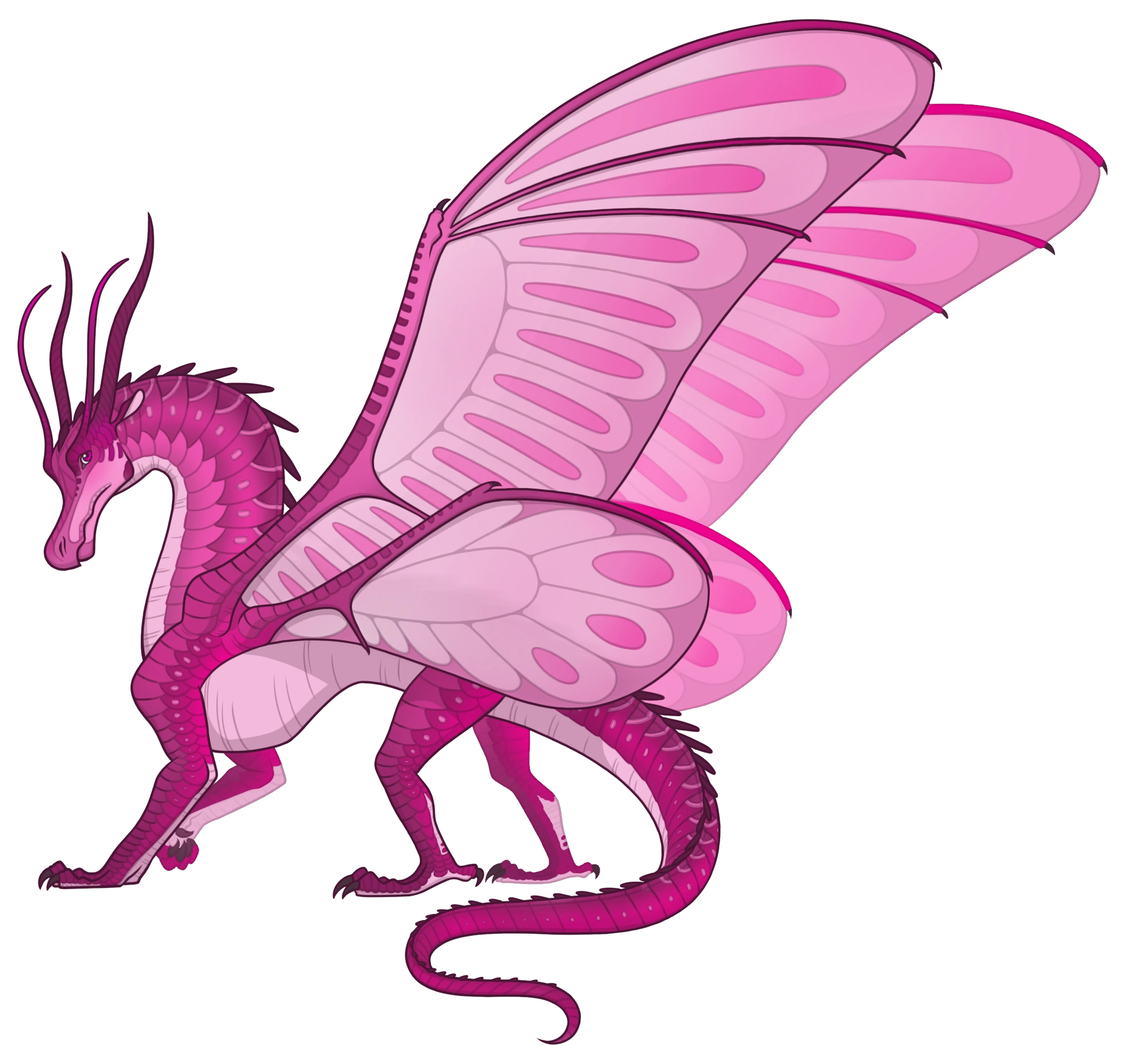 Discuss Everything About Wings of Fire Wiki | Fandom