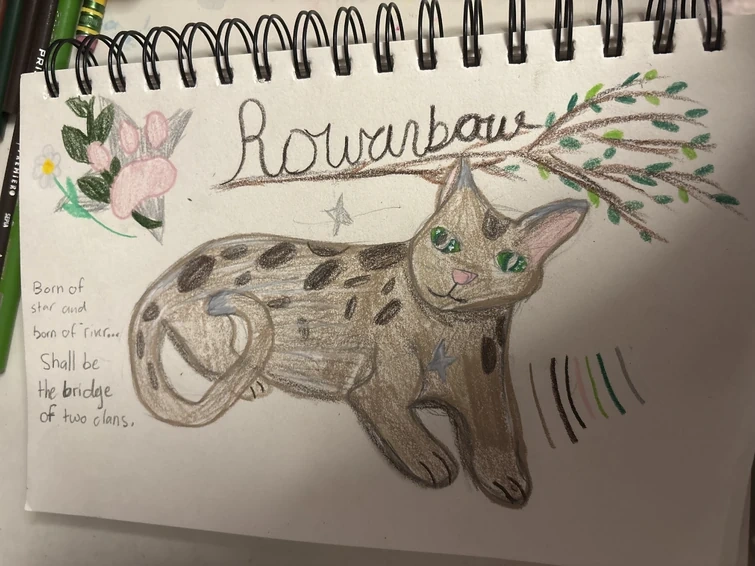 User blog:Starslasher734/Drew this yesterday | Wings of Fire Wiki | Fandom