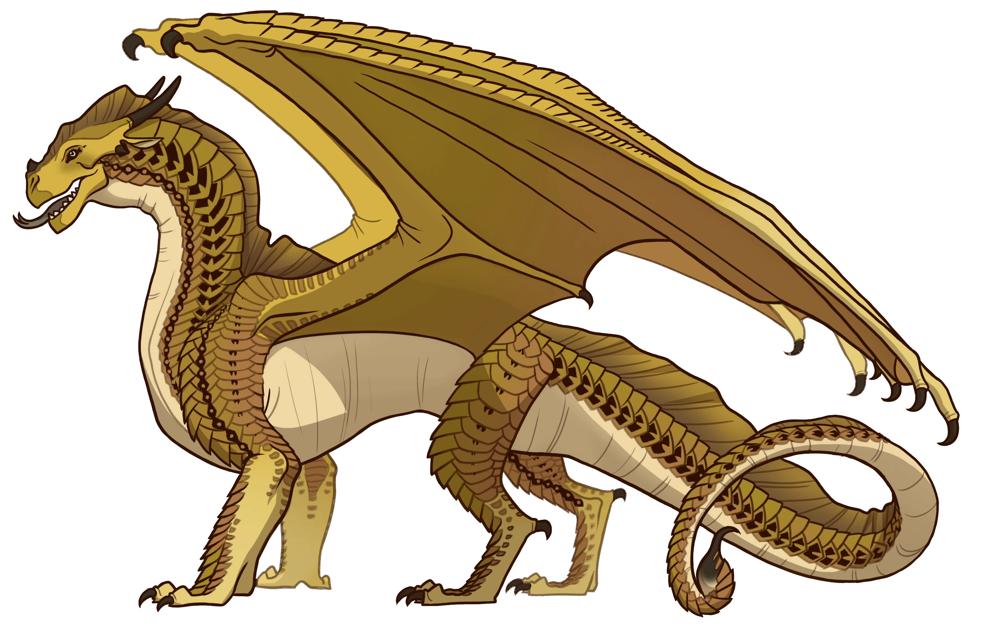 User blog:Prema Melody/Splinter | Wings of Fire Wiki | Fandom