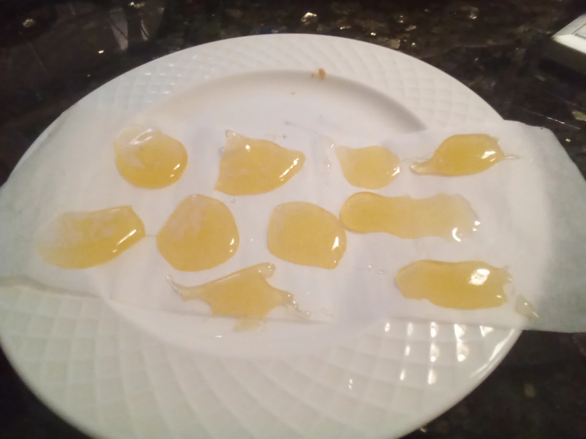 User blog:SnowFoxx2024/How To Make Luna's Honeydrops | Wings of Fire ...