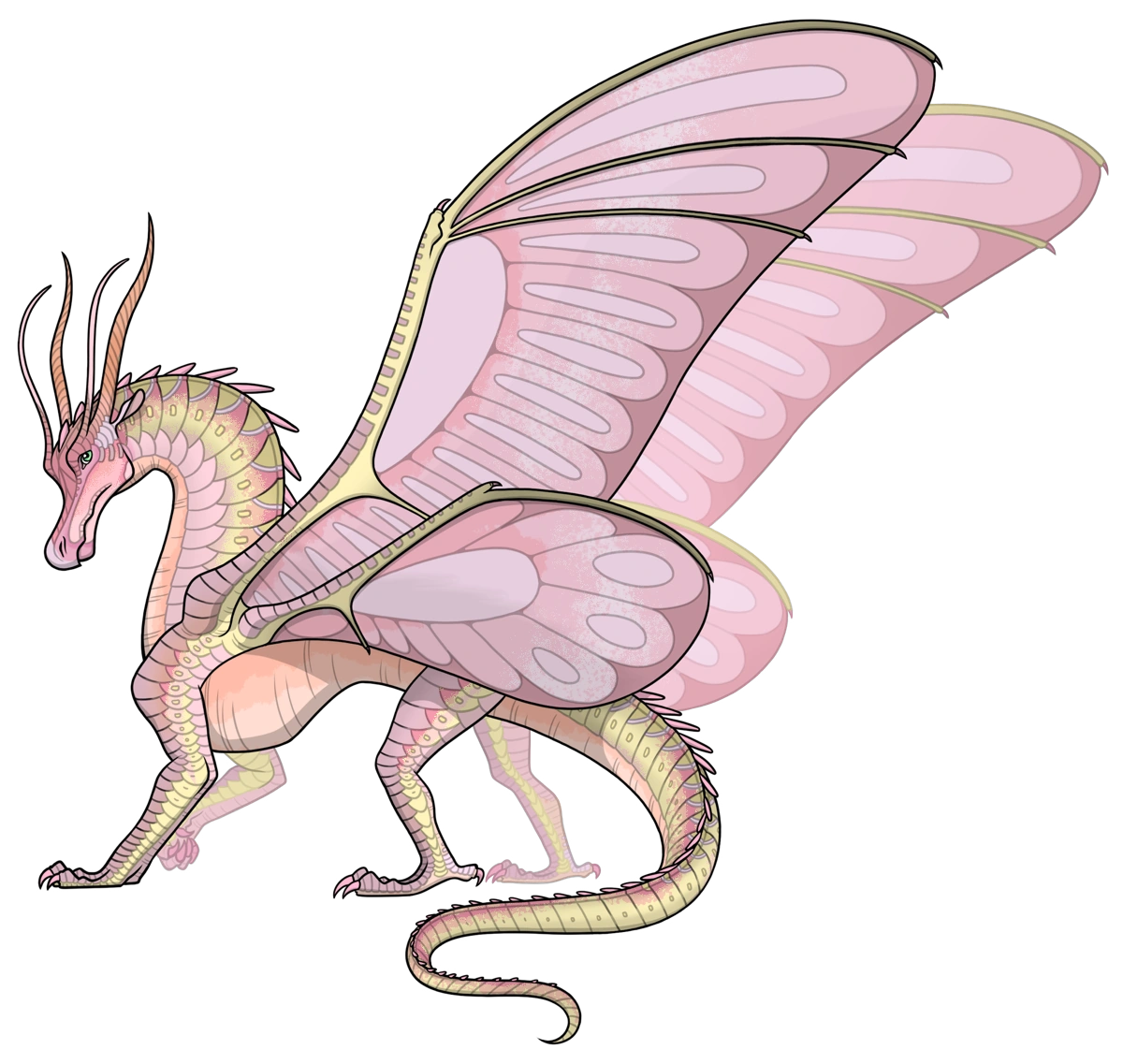 User blog:Dragons of destiny/Teleportation device | Wings of Fire Wiki ...