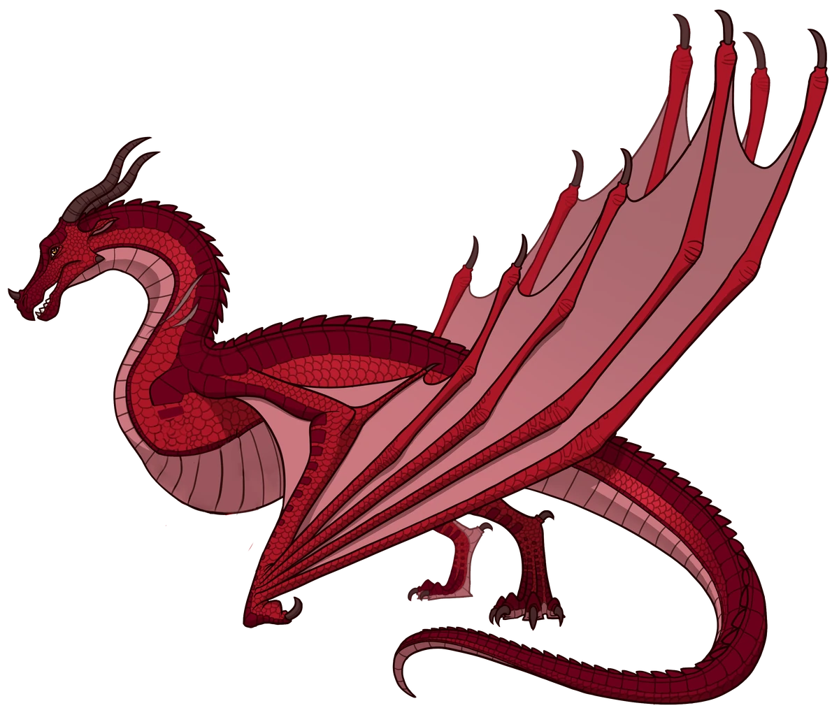 Amphithere | Wings of Fire Fanon Wiki | Fandom