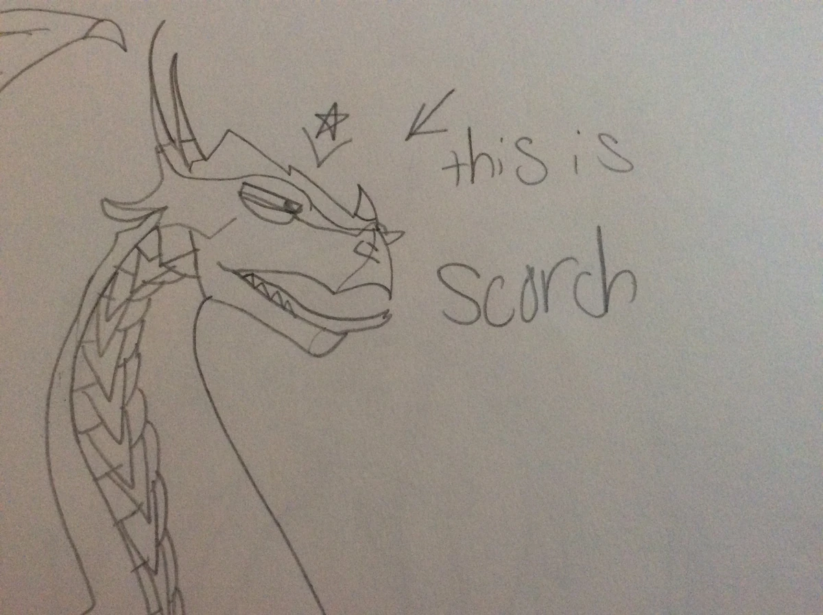 Scorch The Sandwing. | Wings of Fire Fanon Wiki | Fandom