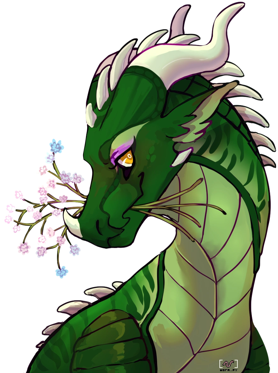 Anise | Wings of Fire Fanon Wiki | Fandom