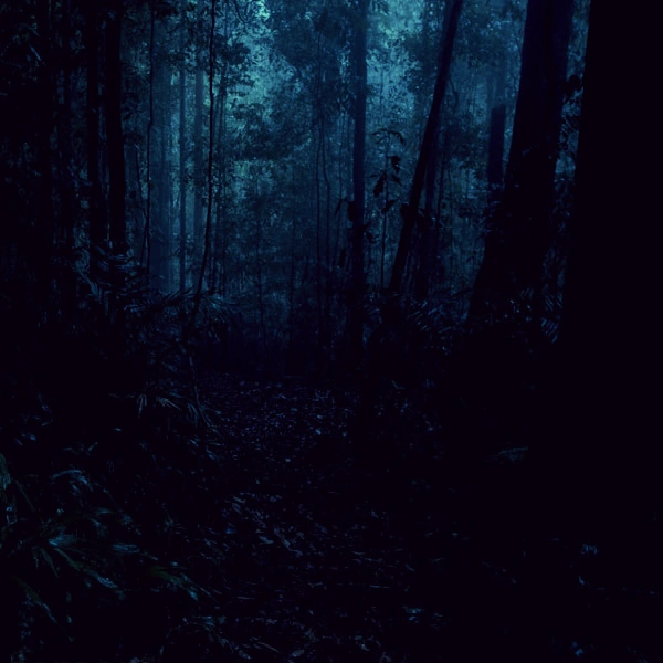 THE TALONS AGAINST THE TYRANTS | Wings of Fire Fanon Wiki | Fandom