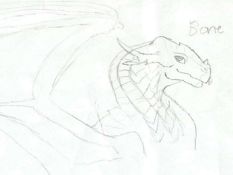 Bone | Wings of Fire Fanon Wiki | Fandom