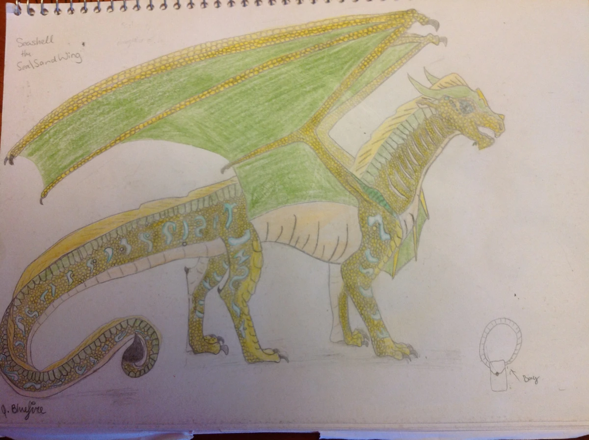 SeaShell | Wings of Fire Fanon Wiki | Fandom