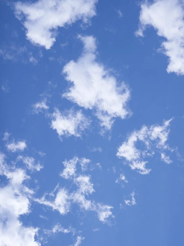 Breeze(Queen Wisp) | Wings of Fire Fanon Wiki | Fandom