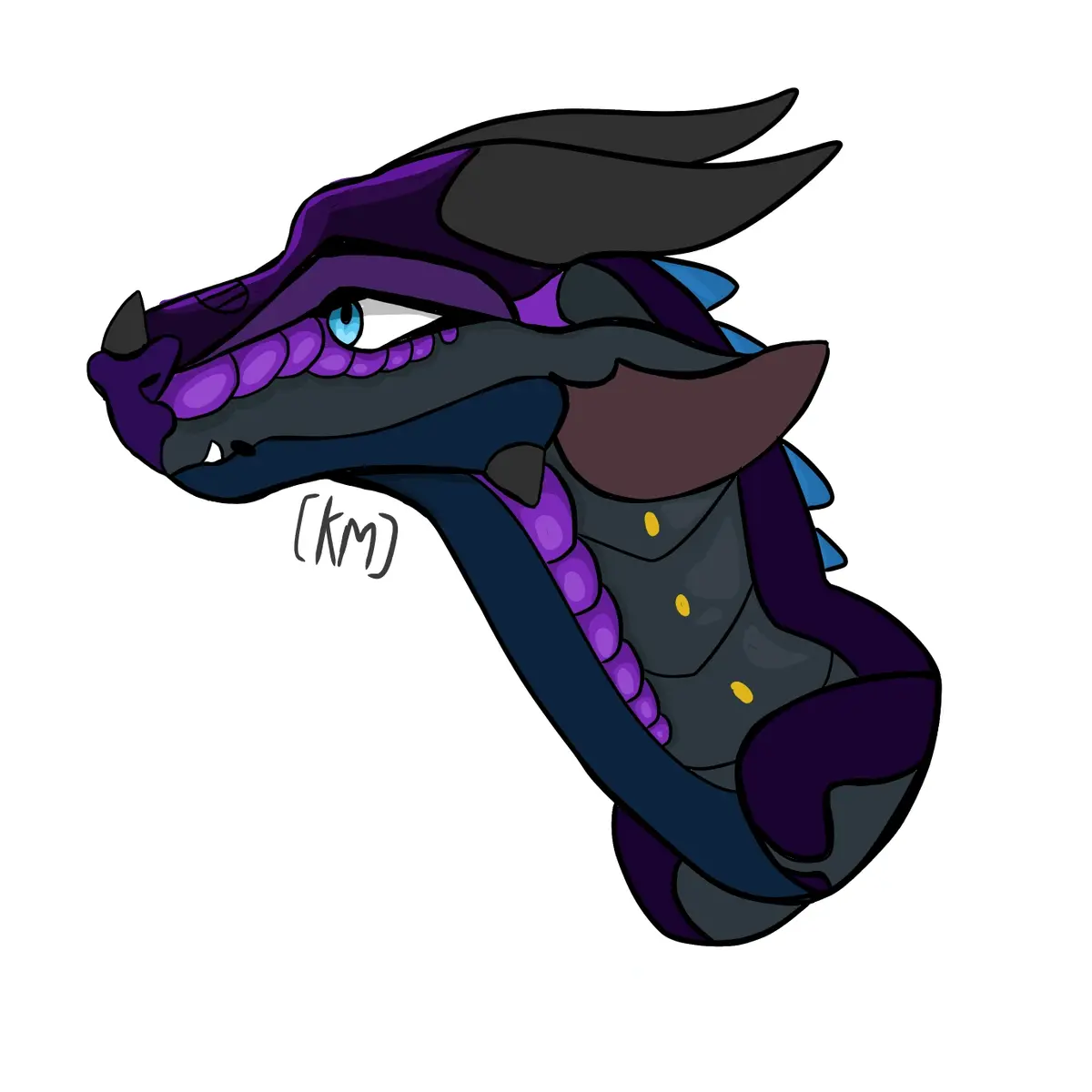 !!Enigma!! | Wings of Fire Fanon Wiki | Fandom