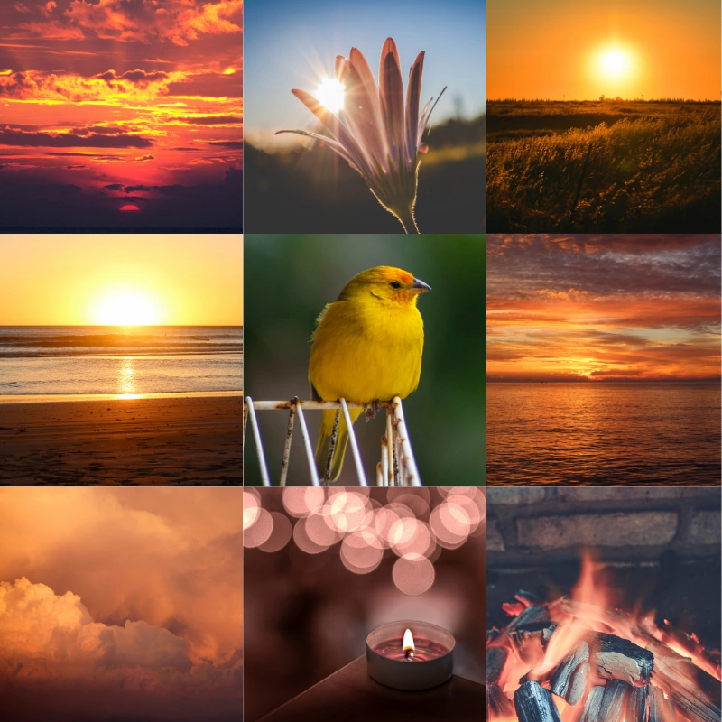 Sunset | Wings of Fire Fanon Wiki | Fandom