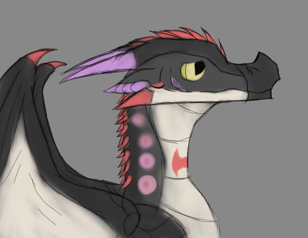 Rook | Wings of Fire Fanon Wiki | Fandom