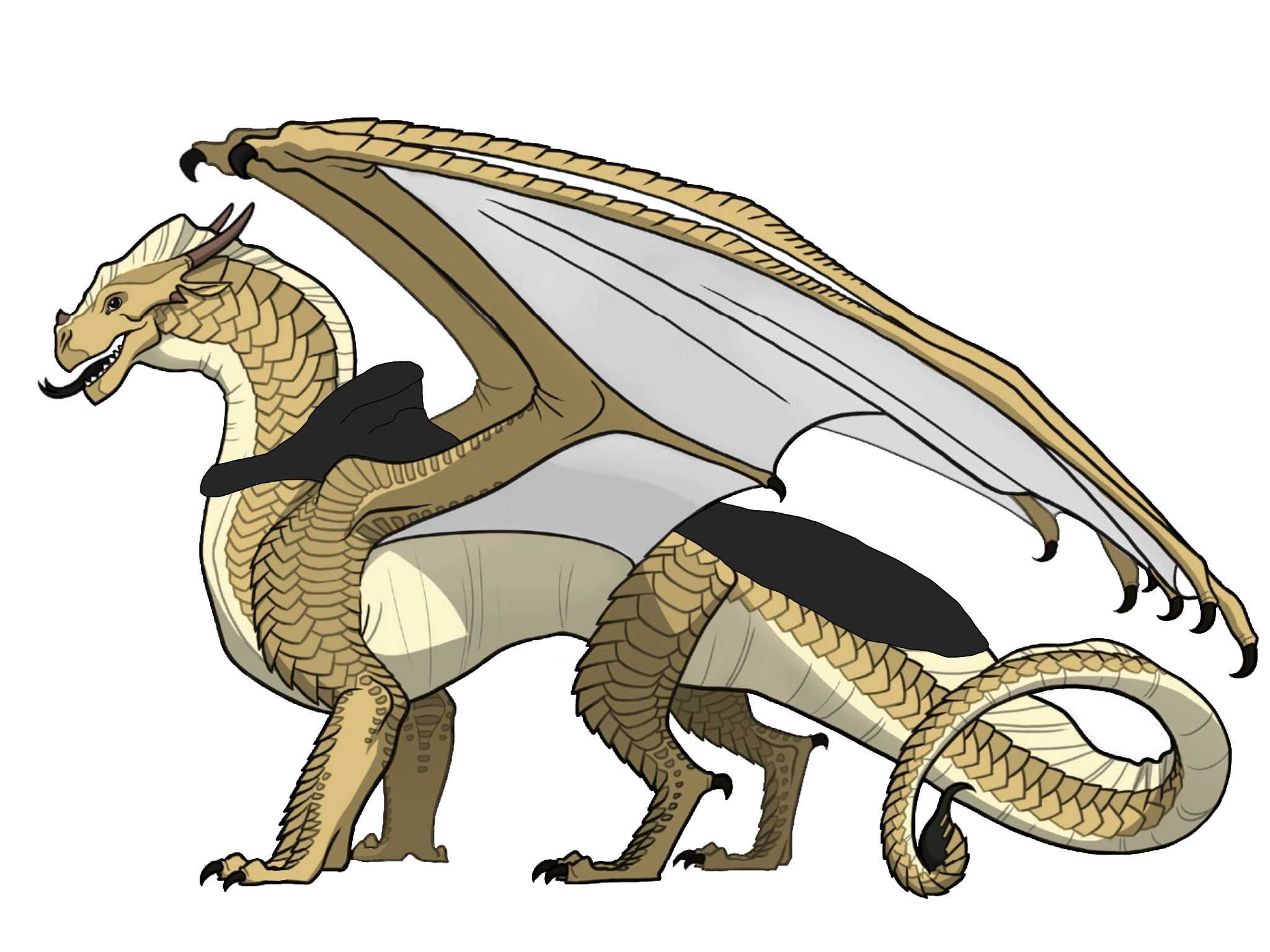 Wings Of Fire Sandwing