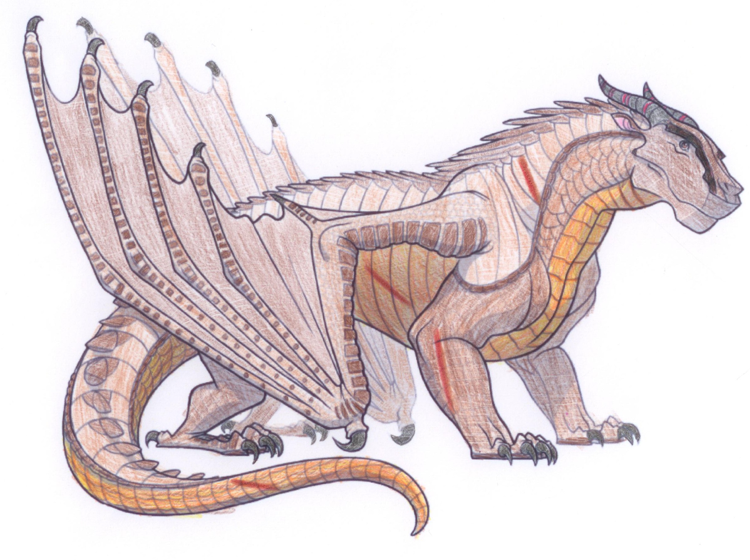 Wings Of Fire Mudwing