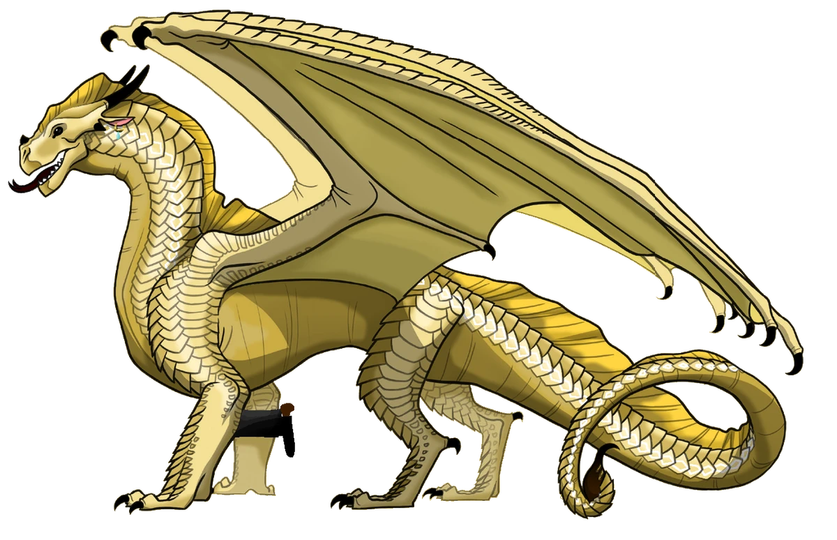 Oro (Quinn) | Wings of Fire Fanon Wiki | Fandom