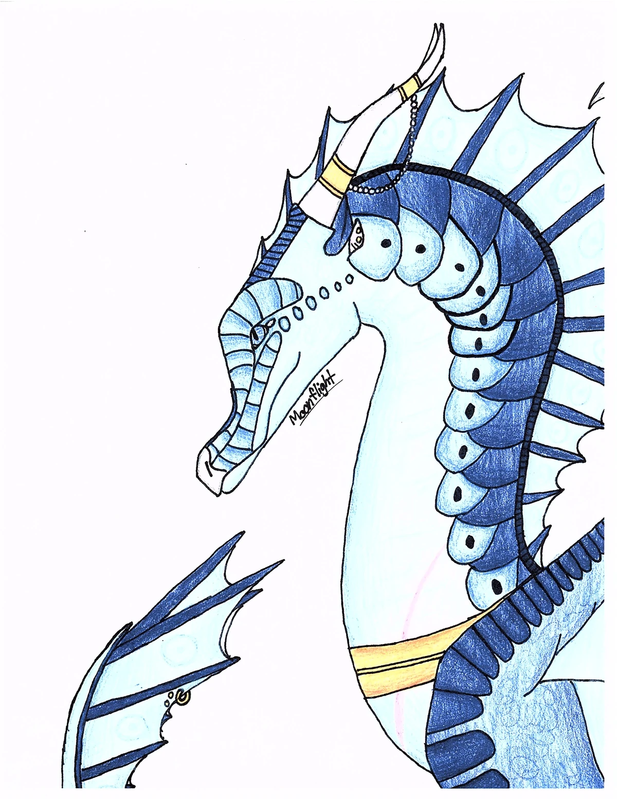 Moonflight (MoonflightTheNightWing) | Wings of Fire Fanon Wiki | Fandom