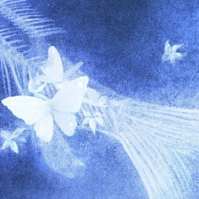 ‘tis the season | Wings of Fire Fanon Wiki | Fandom