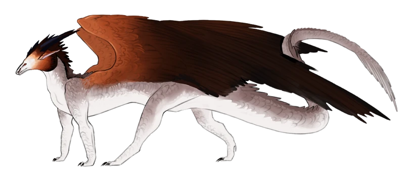 Merot | Wings of Fire Fanon Wiki | Fandom