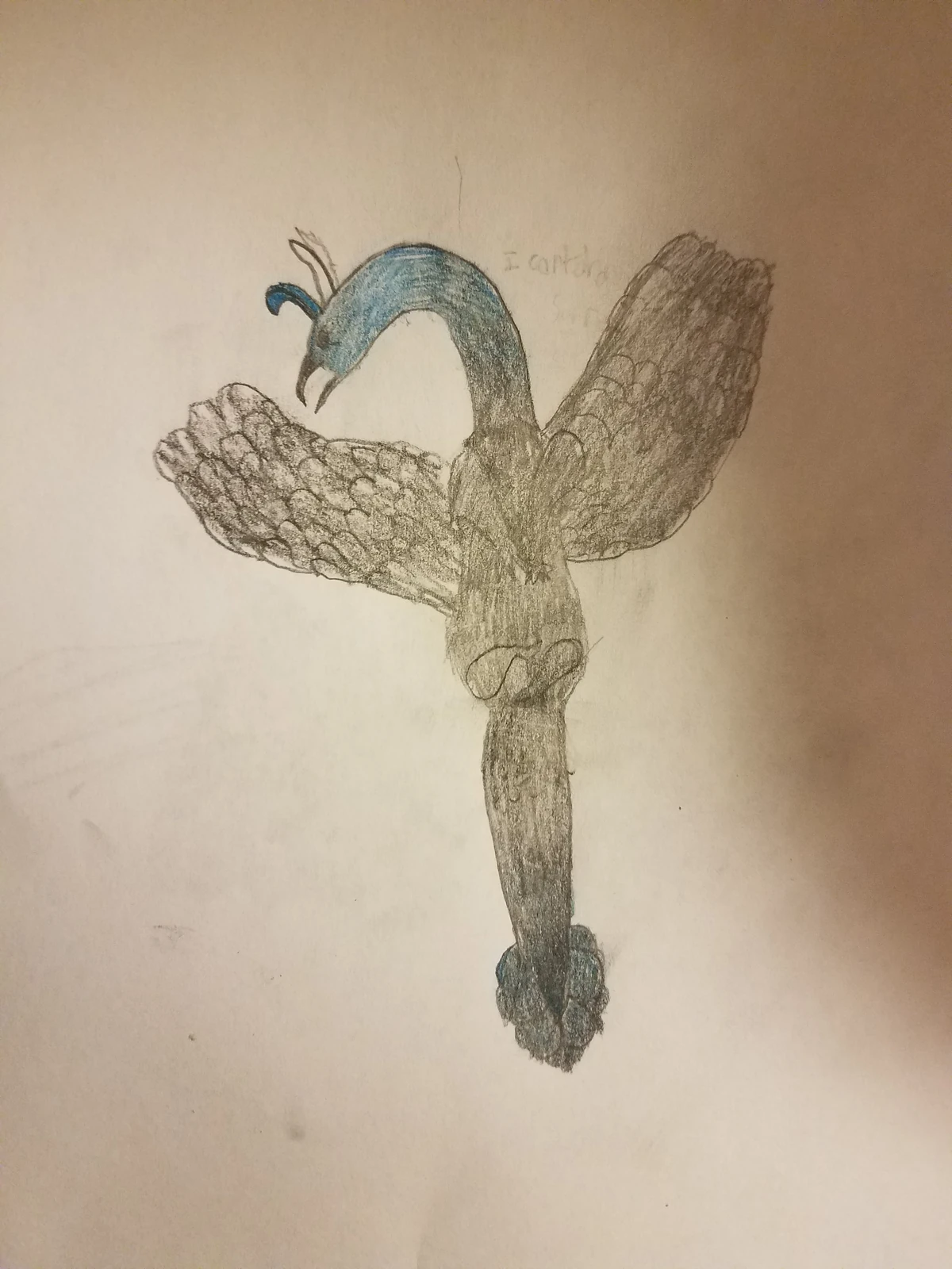 Hark | Wings of Fire Fanon Wiki | Fandom