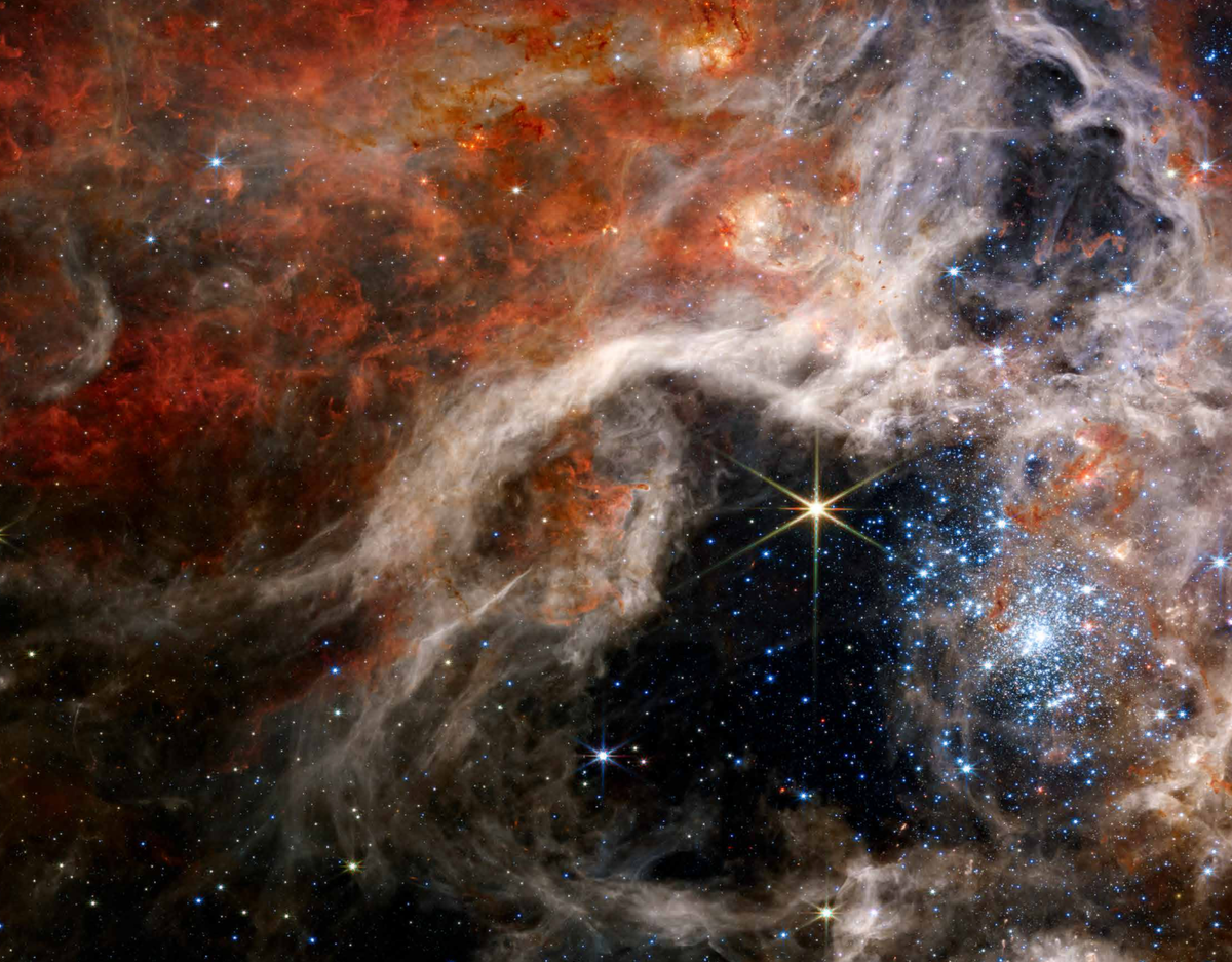 Crackle/Page Redo (Cosmo) | Wings of Fire Fanon Wiki | Fandom