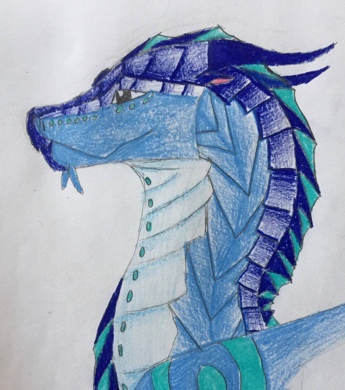 Princess Spade (PTP) | Wings of Fire Fanon Wiki | Fandom
