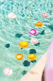 Beachball | Wings of Fire Fanon Wiki | Fandom