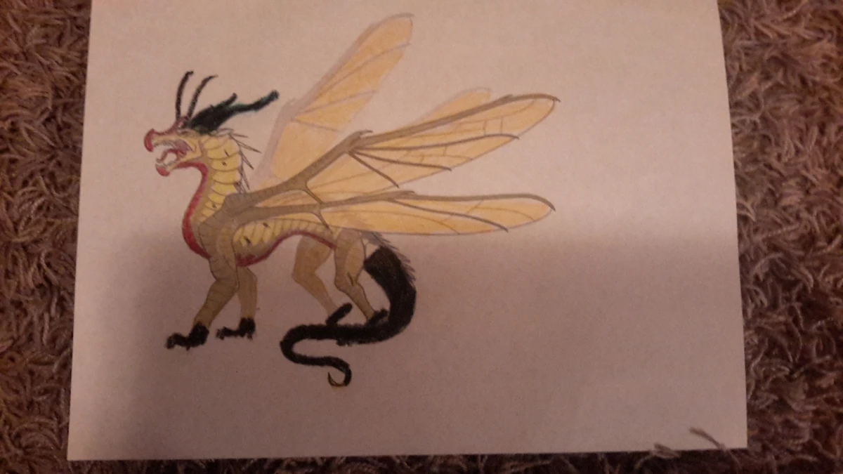 Firefly, Glasswing, and Dragonfly | Wings of Fire Fanon Wiki | Fandom