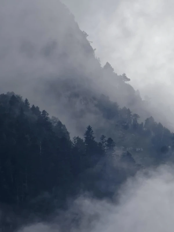 Bonfire (SaltyPearl88) | Wings of Fire Fanon Wiki | Fandom