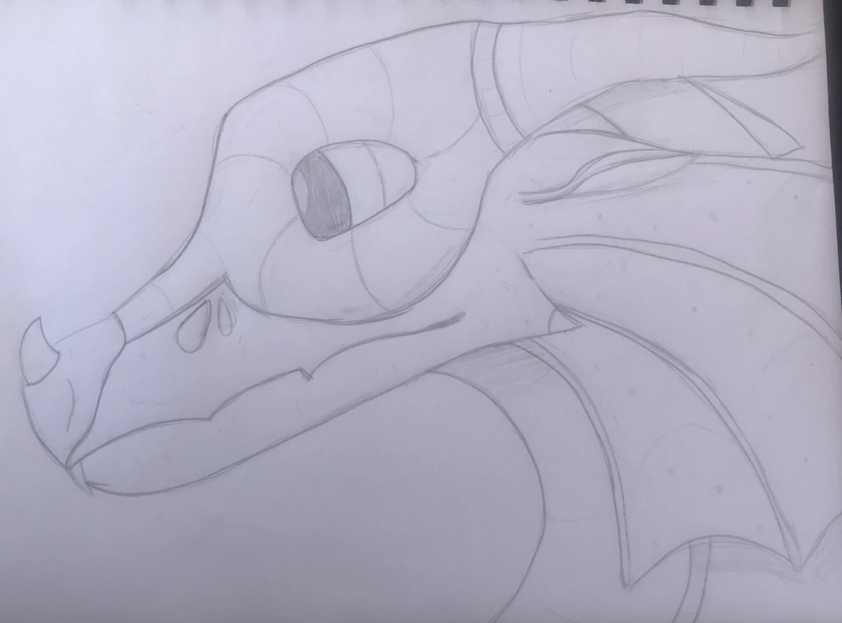 Blueberry (BlueberryRainforest123) | Wings of Fire Fanon Wiki | Fandom