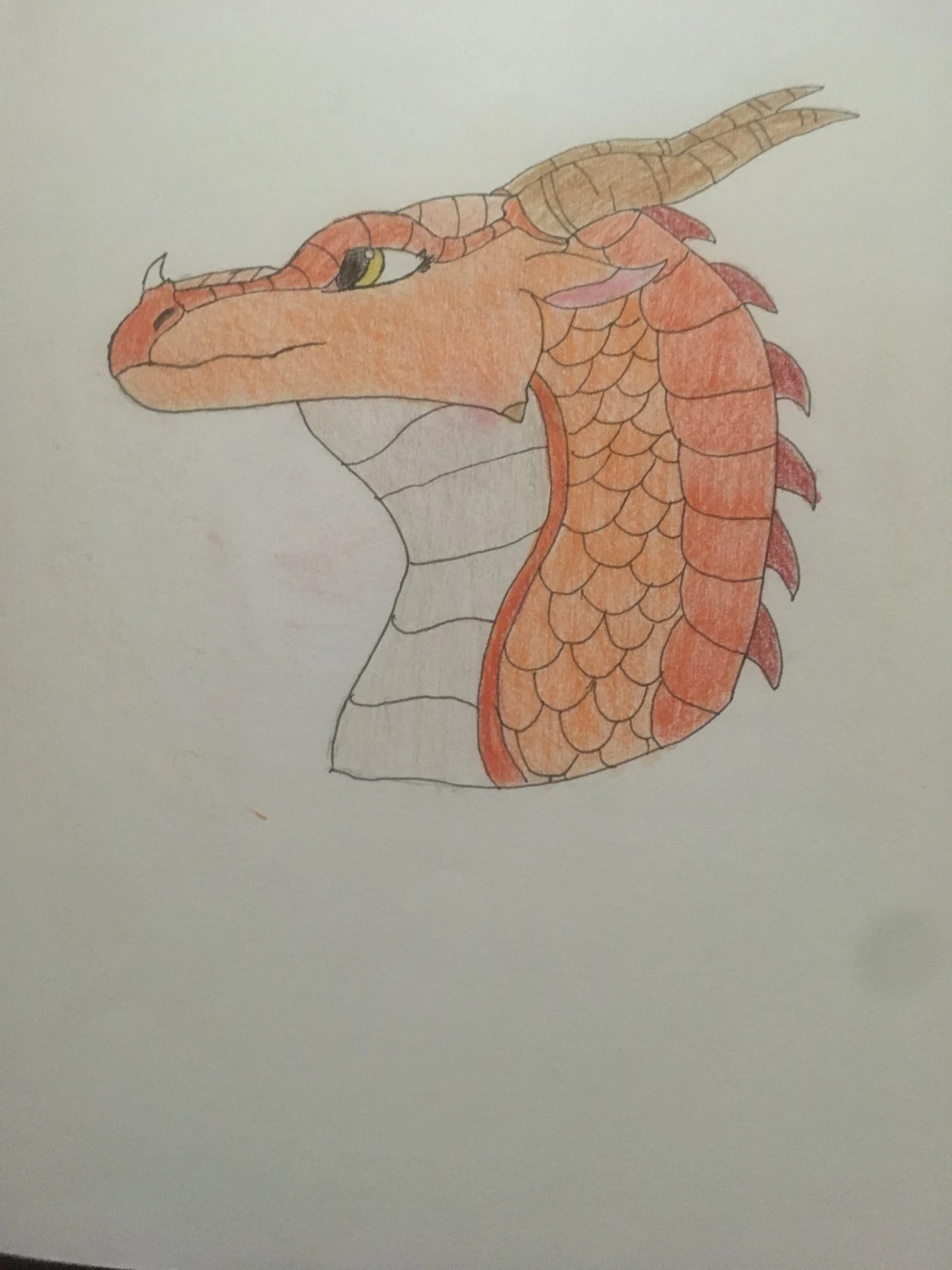 Circinae | Wings of Fire Fanon Wiki | Fandom
