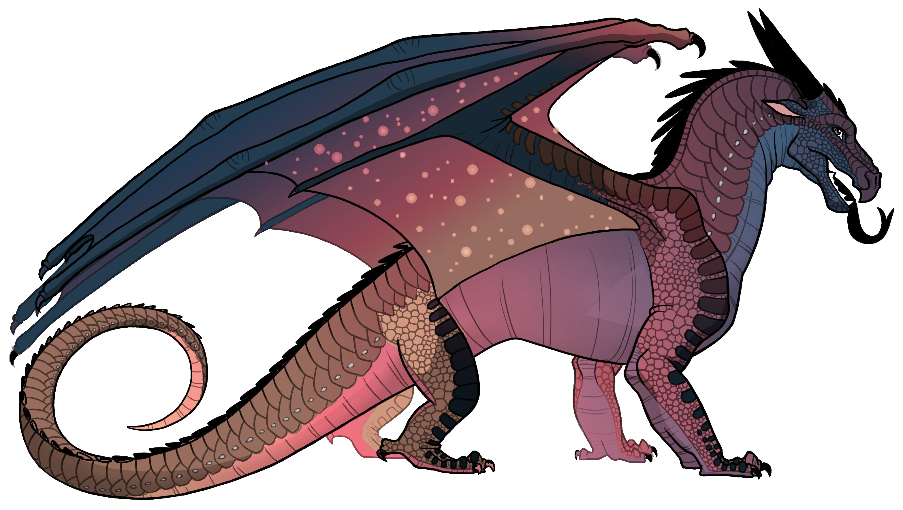 Wings Of Fire Nightwing Wings Of Fire NightWing Chibi Base By