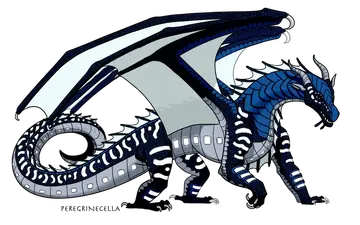 Starfish Images Of The Dragon